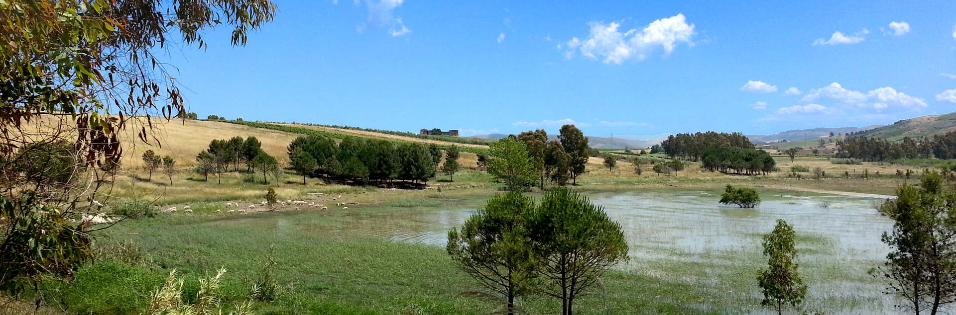 poma-zuid - opSicilie